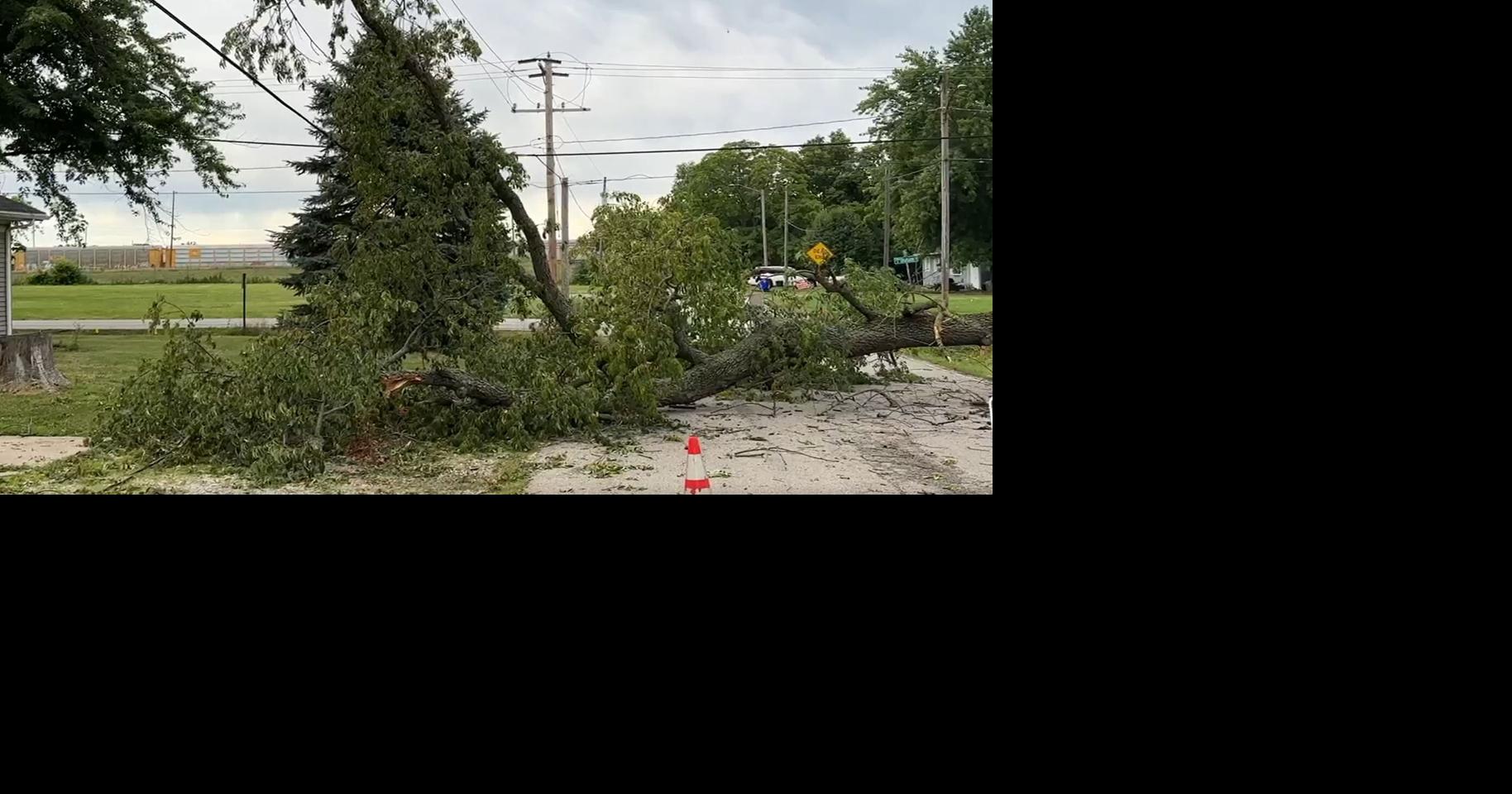 Strong wind storm damage 6-25-24 | News | wandtv.com