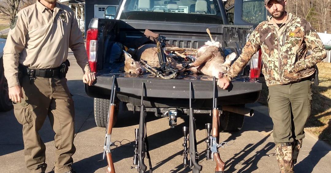 Police: Multiple people illegally hunting deer cited in Illinois | News ...