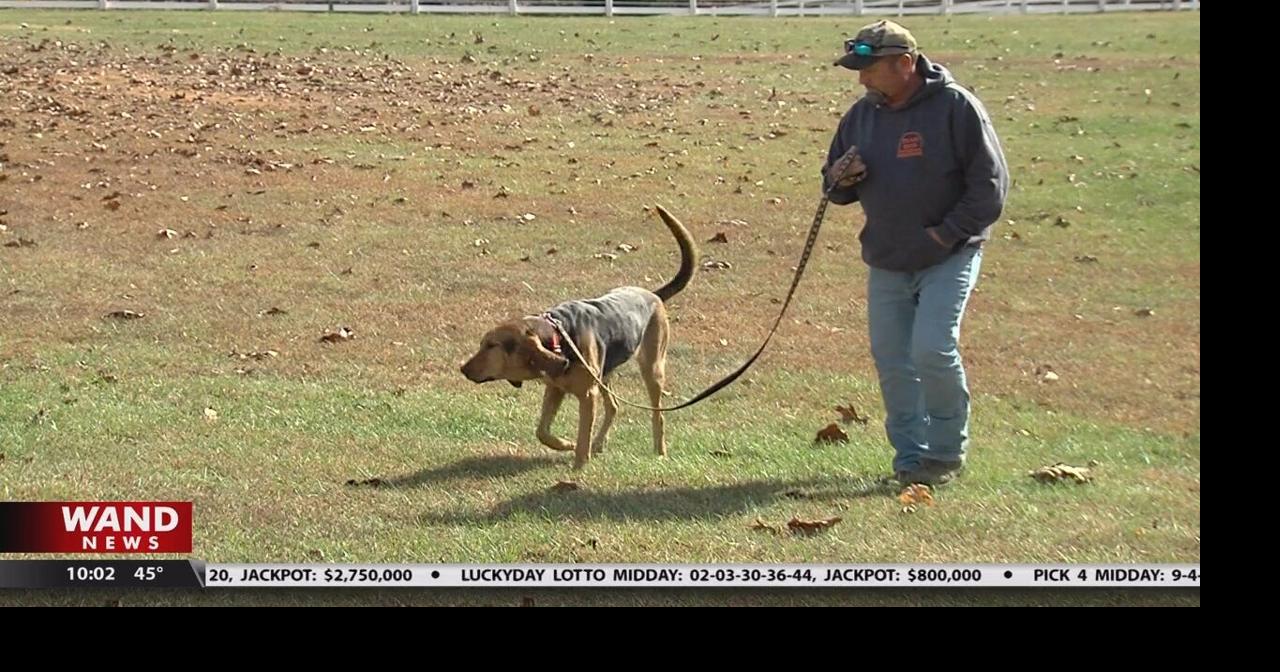 Bloodhound tracker recovering after hunting injury and kidnapping ...