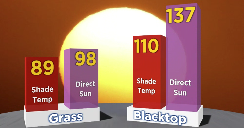 Sun vs. Shade: How much is the difference in temperature? | Weather ...
