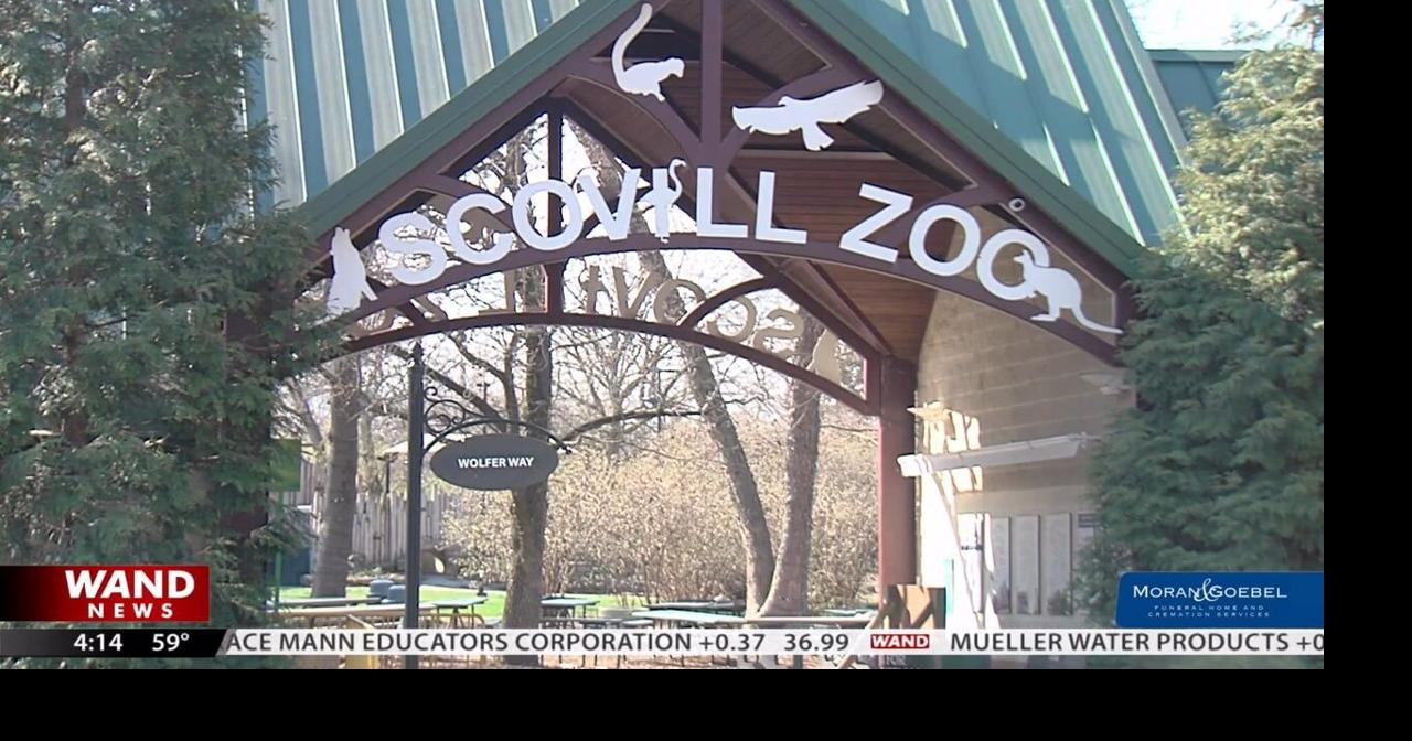 Opening day at Scovill Zoo a celebration of hard work during off-season ...