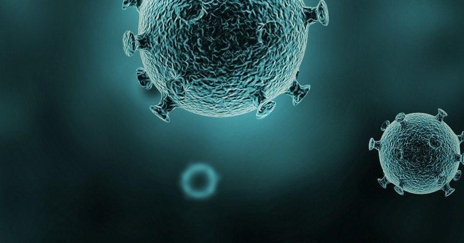 Deadly fungal infection spreading at an alarming rate, CDC says | News ...