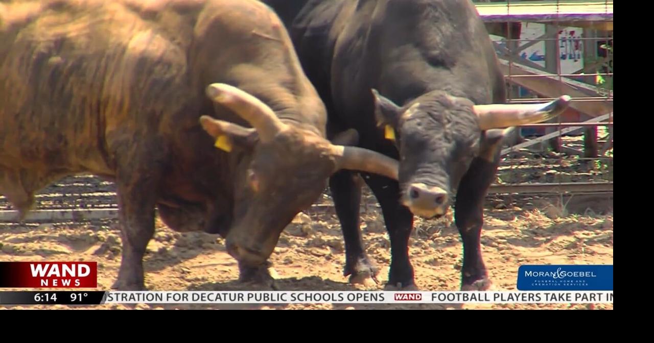 Saddle up for the 69th Annual Piatt County Trailblazers Rodeo in ...