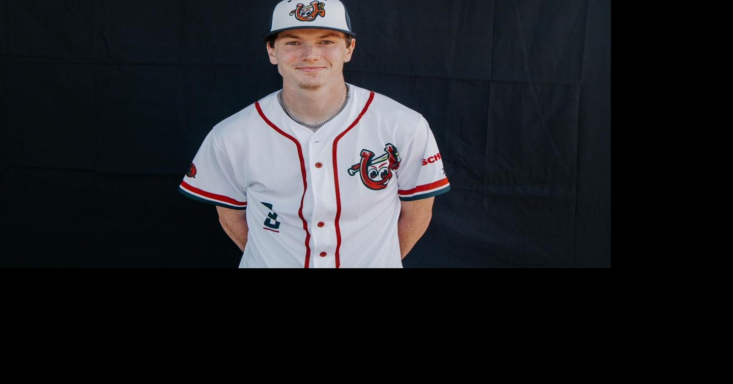 Springfield Lucky Horseshoes pitcher hit by line drive, taken to ...