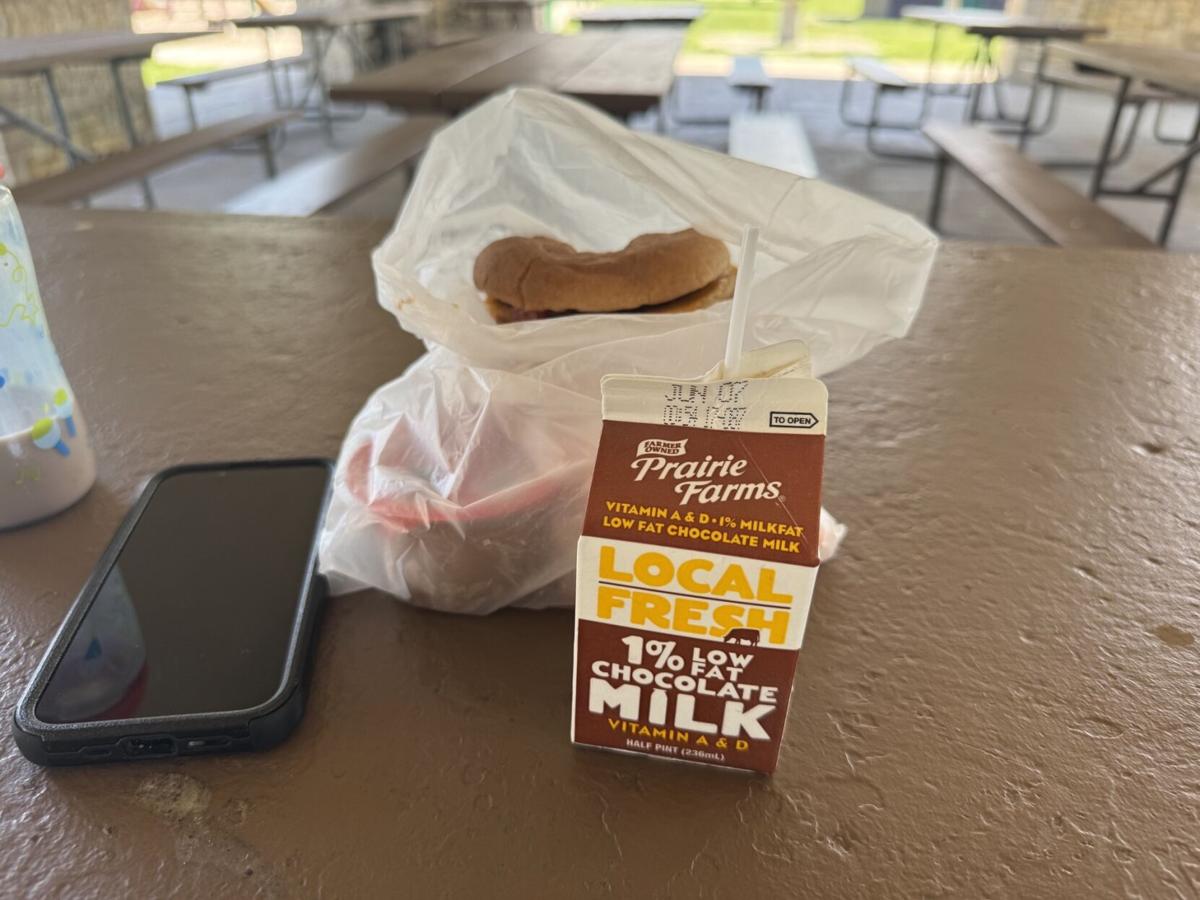 Decatur IL kids can get free lunches through summer program | Education ...