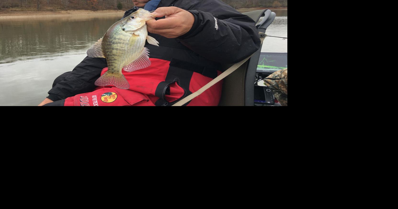 Illinois fishing licenses go on sale March 1 | Local News | wandtv.com