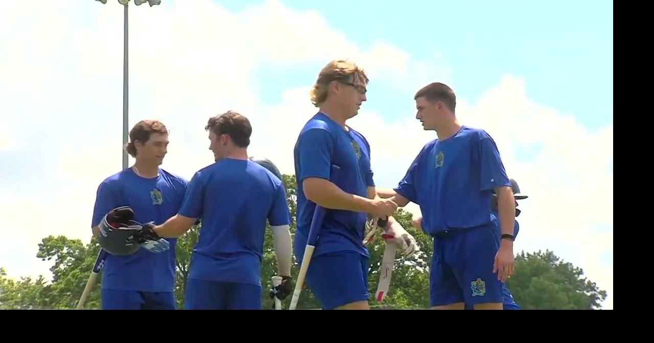 Bean Ballers bring summer baseball fun to Decatur | Sports | wandtv.com
