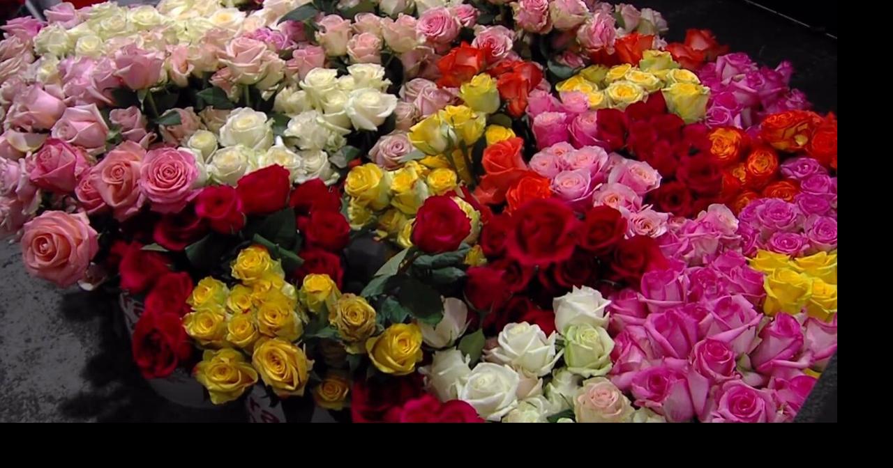 Local floral shop in Decatur prepares for Mother's Day | News | wandtv.com