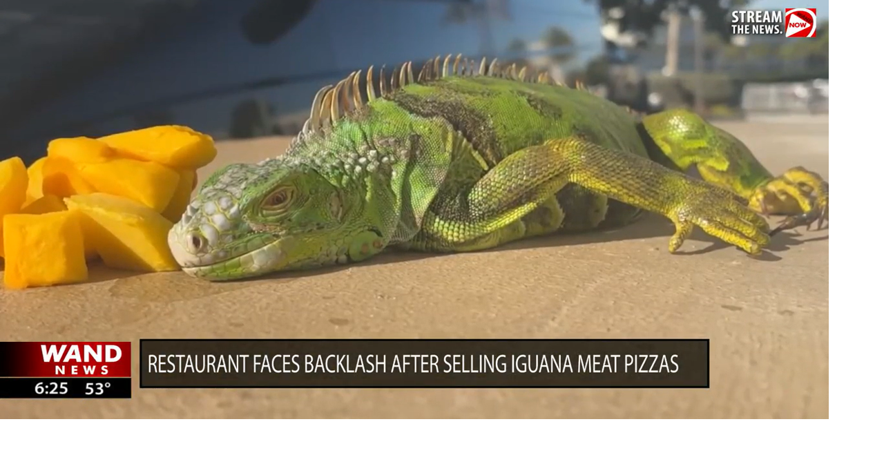 Leaping lizards! Restaurant getting backlash for selling iguana meat ...