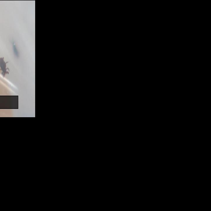 Caterpillar expands its Decatur campus first time since 1997 | News ...