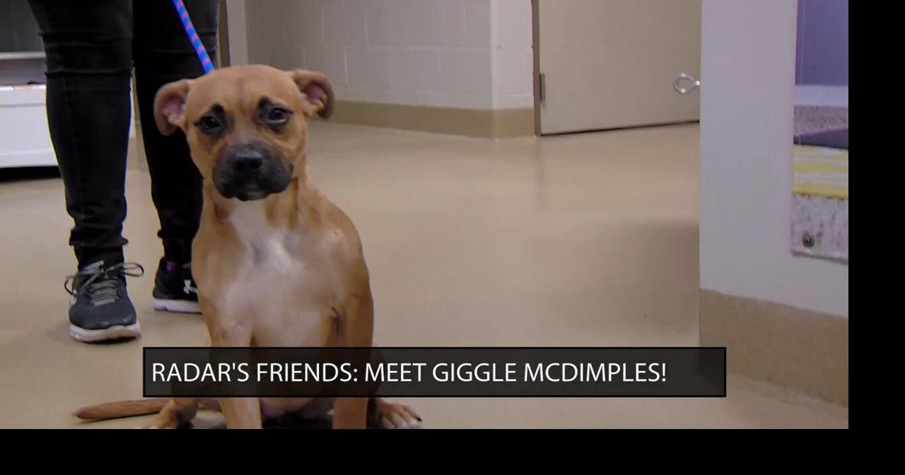 Radar's Friends 4-4-25 | | wandtv.com
