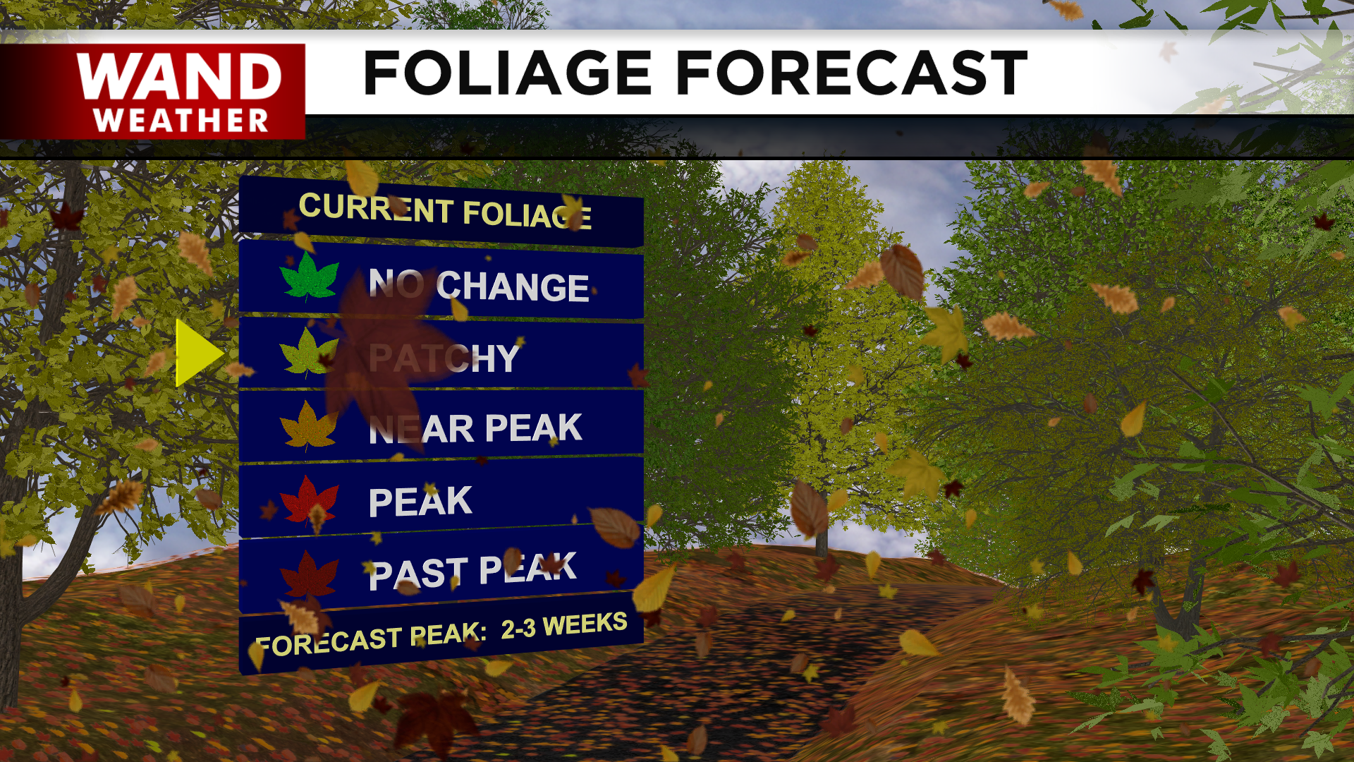 Fall foliage so far: Feels like fall, but it doesn't look like it ...