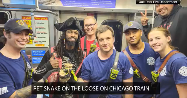Pet snake on the loose on Chicago train | Videos | wandtv.com