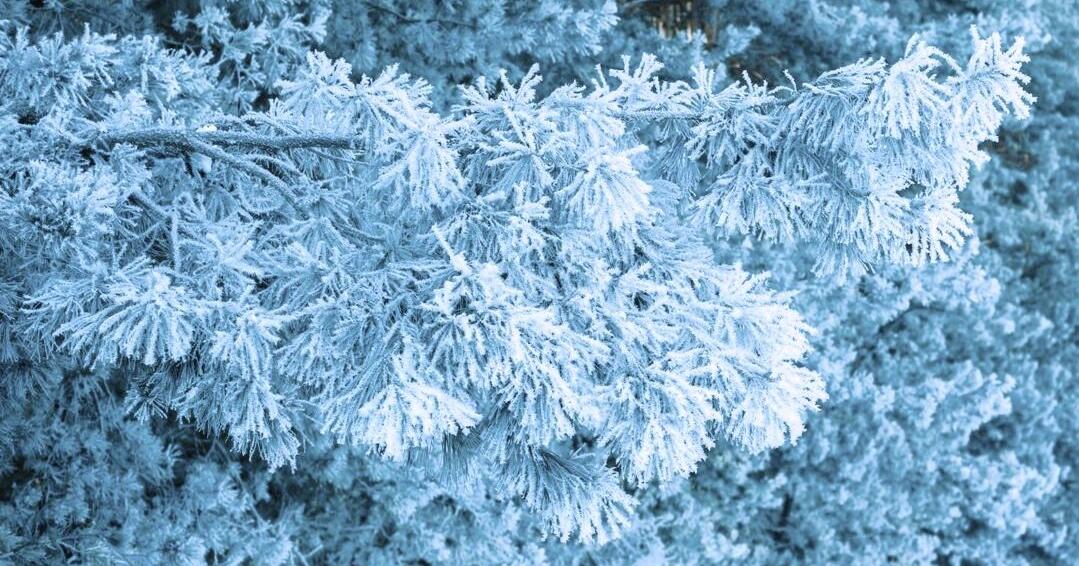 When is the winter solstice, and when will days start getting longer ...