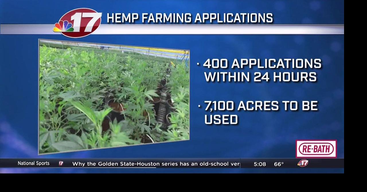 Hundreds of industrial hemp applications reviewed by IDOA | News ...