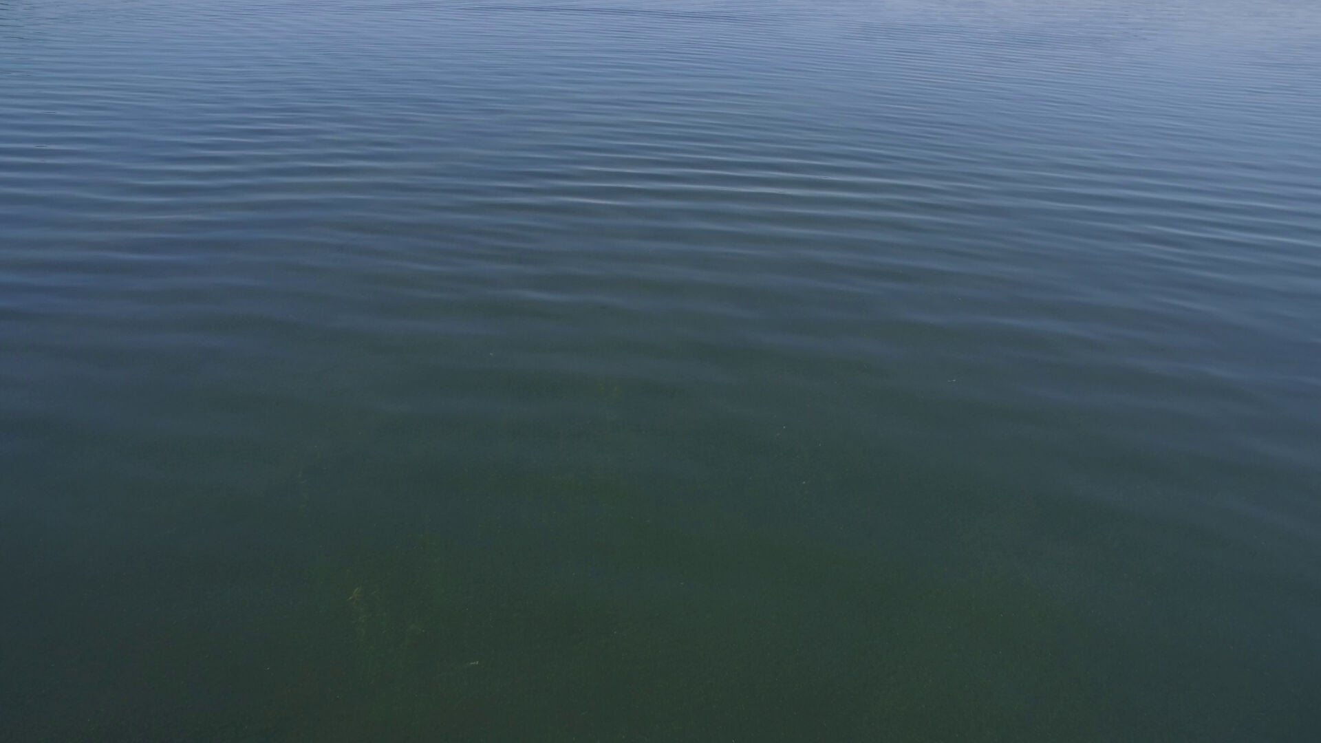 Paris beach to remain closed until water sample test results | Local ...