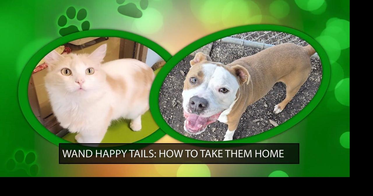 WAND's Happy Tails featuring Bark-tholomew and Nat King Cole ...