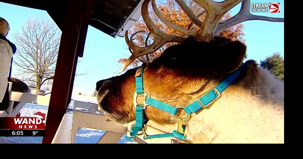 Rantoul farm brings holiday magic to central Illinois | Community ...