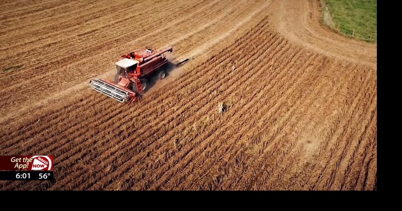 Chinese tariffs on corn, soy 'causing a lot of stress' to local farmers ...