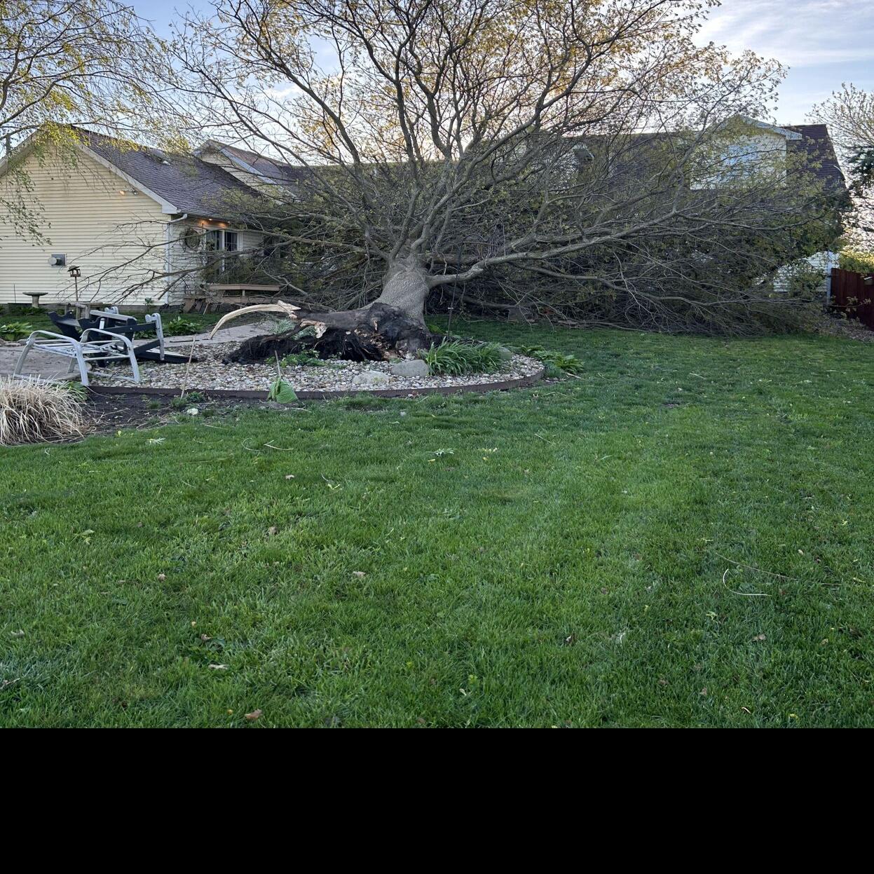 Mattoon Public Library home to plethora of records and relics | Top ...