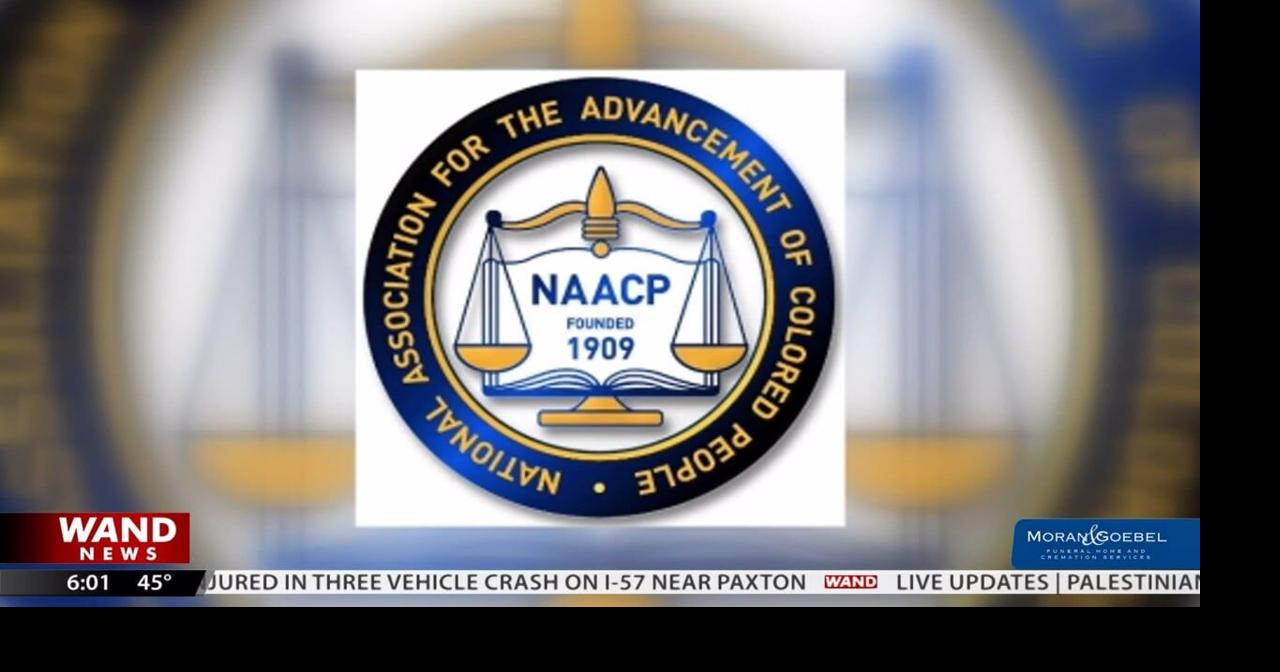Teresa Haley suspended from NAACP following racist comments about ...