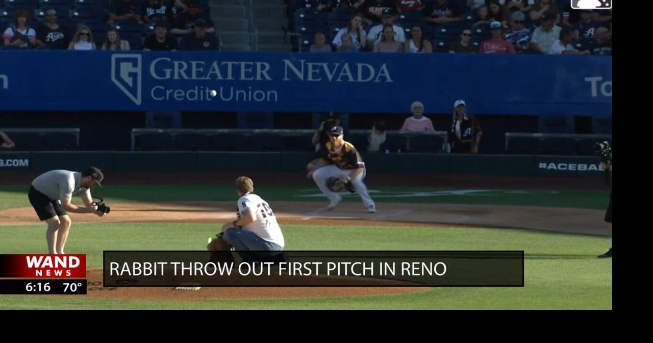 Rabbit throws out first pitch in Reno | | wandtv.com