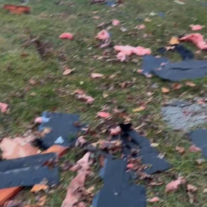 Tickets to go on sale for Trees on Tees event in Decatur IL | Community ...