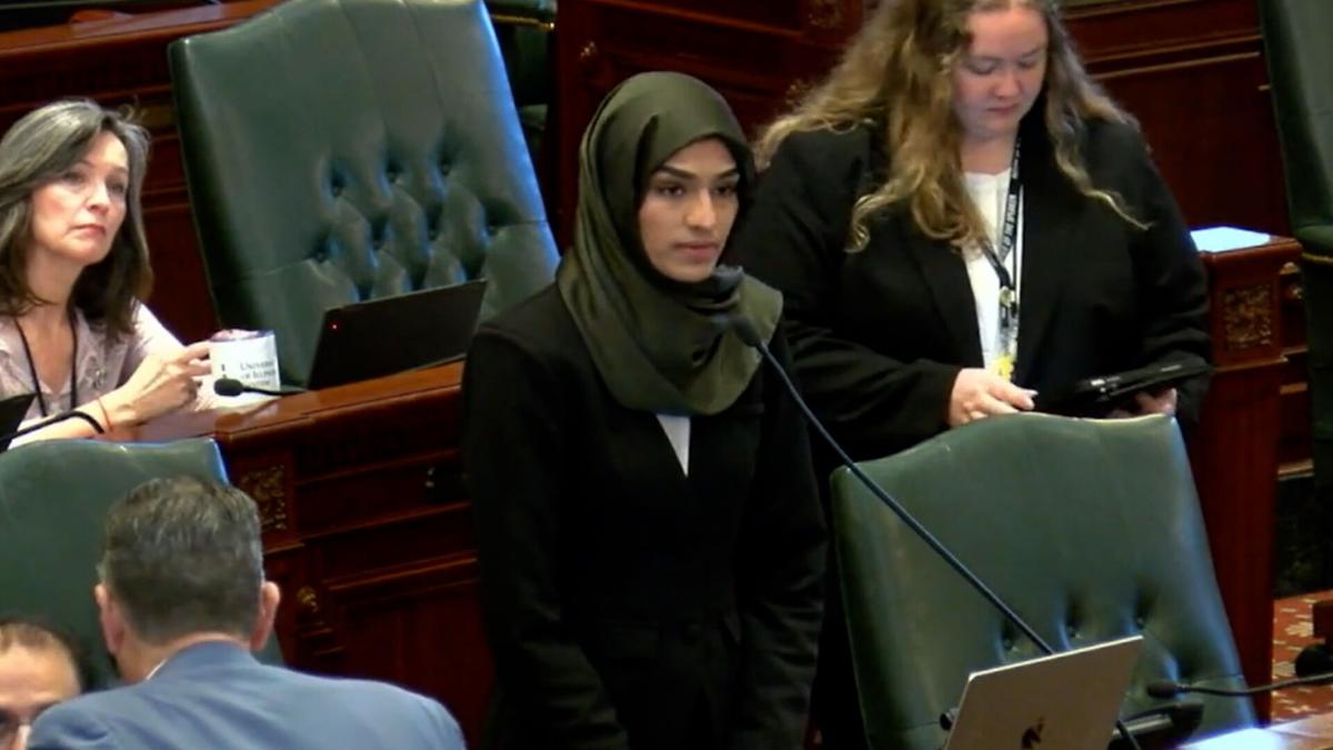IL House passes plan calling for school panic alert systems | Illinois ...