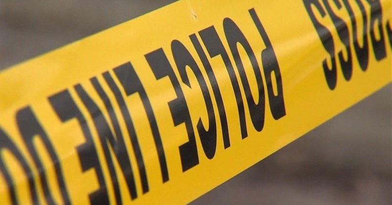 Springfield hybrid gangs behind recent violence | News | wandtv.com