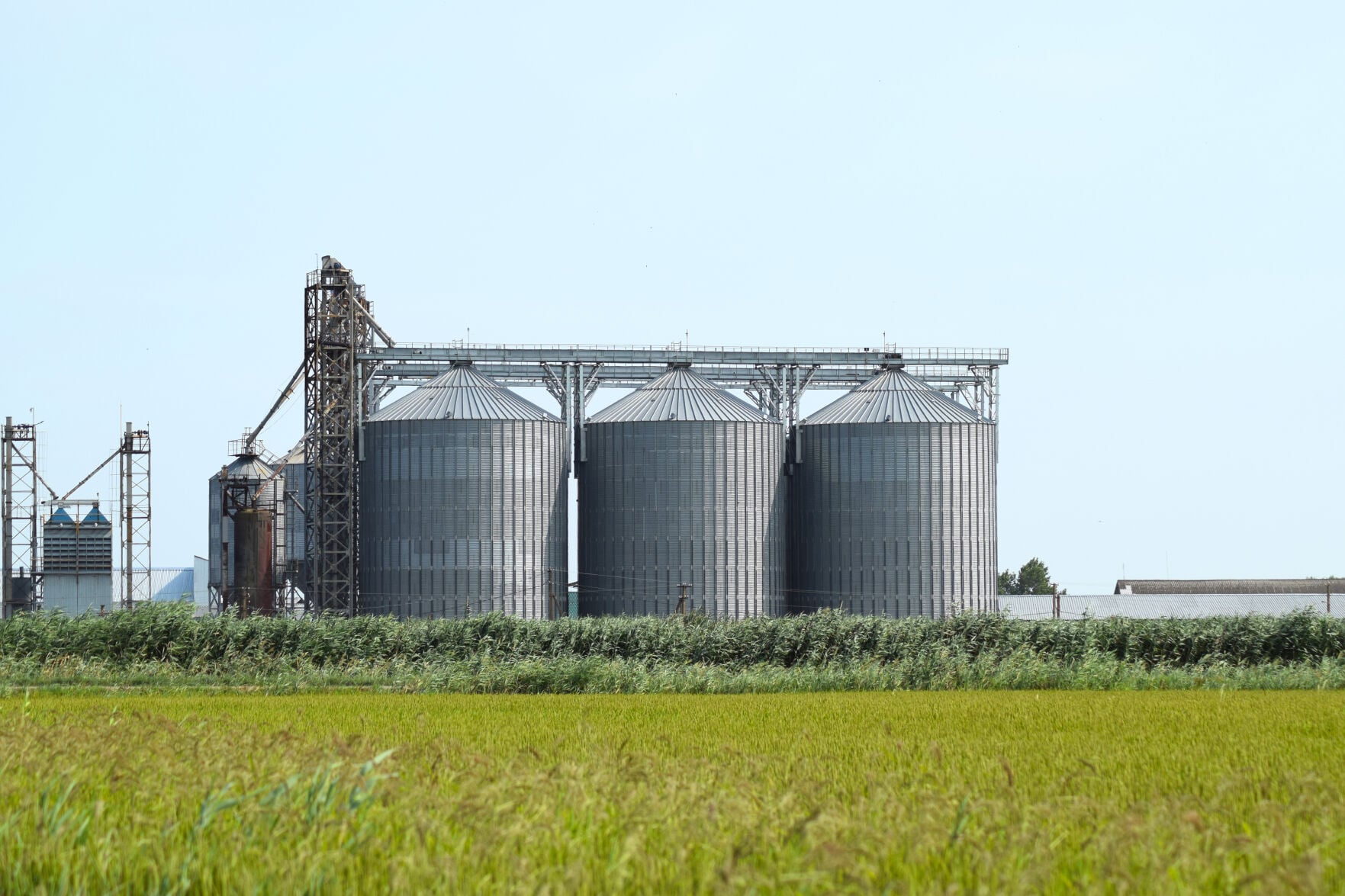 Man rescued from grain bin in rural Douglas County IL | Local News ...