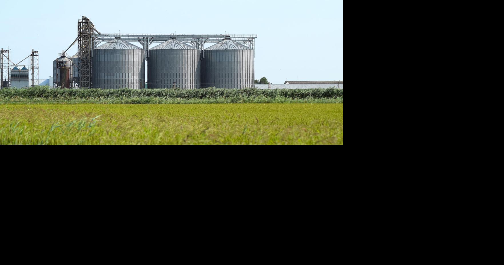 OSHA fines IL grain silo operator $276k after worker injury | Local ...