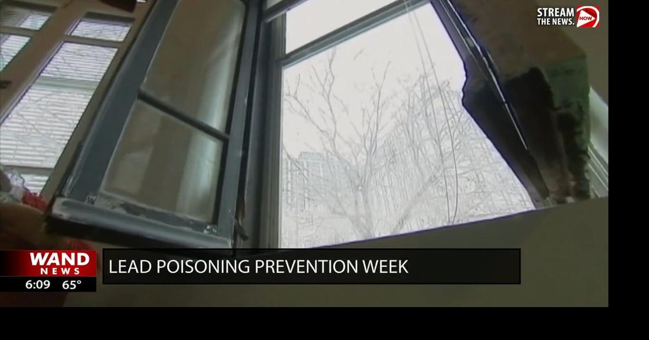 IDPH observing Lead Poisoning Prevention Week | Local News | wandtv.com