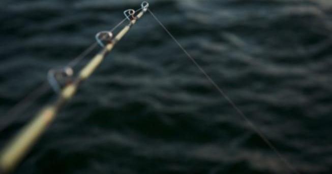 Fishing tournament coming soon to Lake Decatur | News | wandtv.com