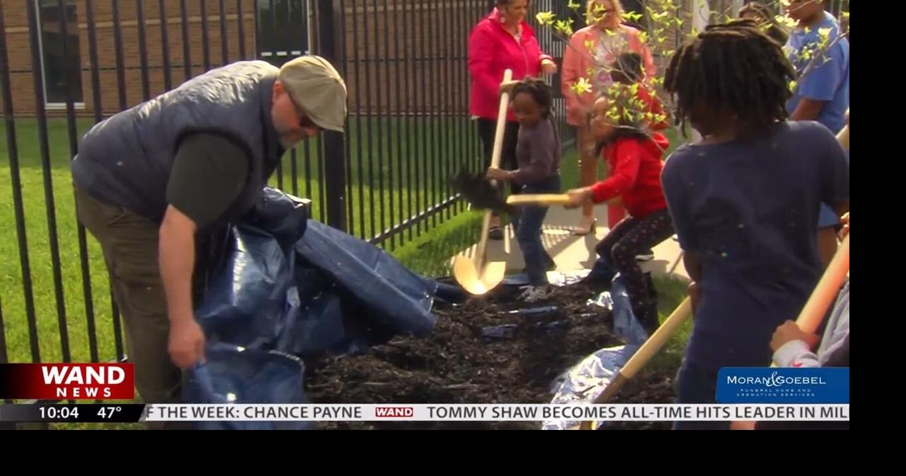 Students come together and plant, pick up trees at Springfield YMCA ...