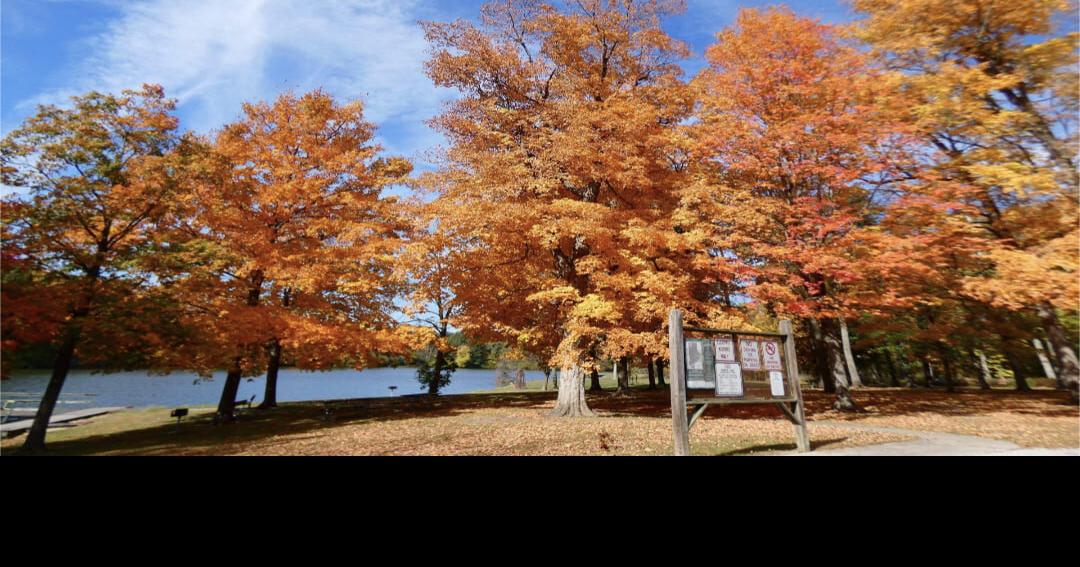 Fall Foliage: Best places to view in central Illinois | Community ...