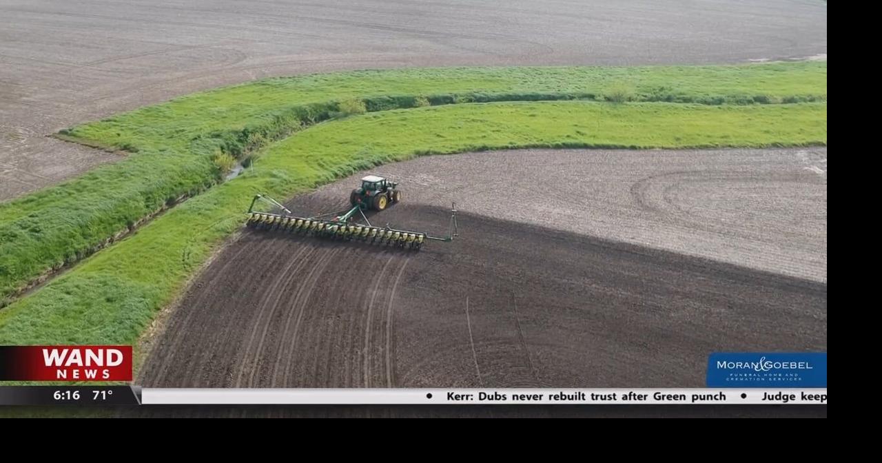 Farmers thriving from heavy rains experienced across Central Illinois ...