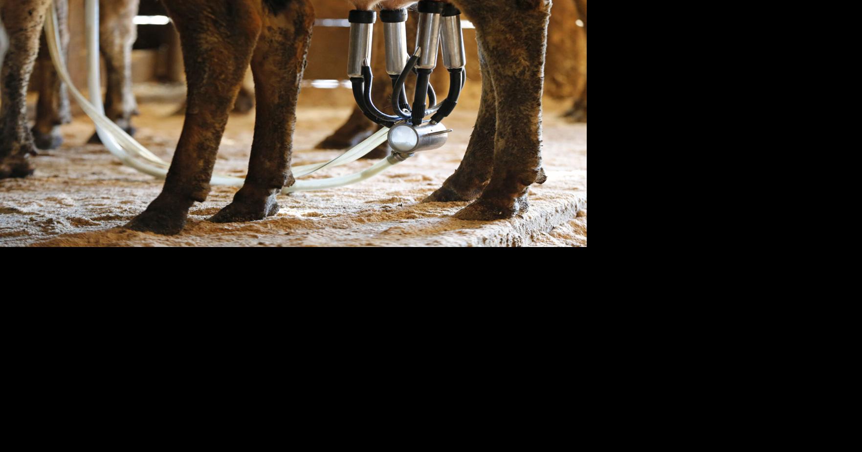 IDPH issues warning after sickness linked to raw milk | Local News ...