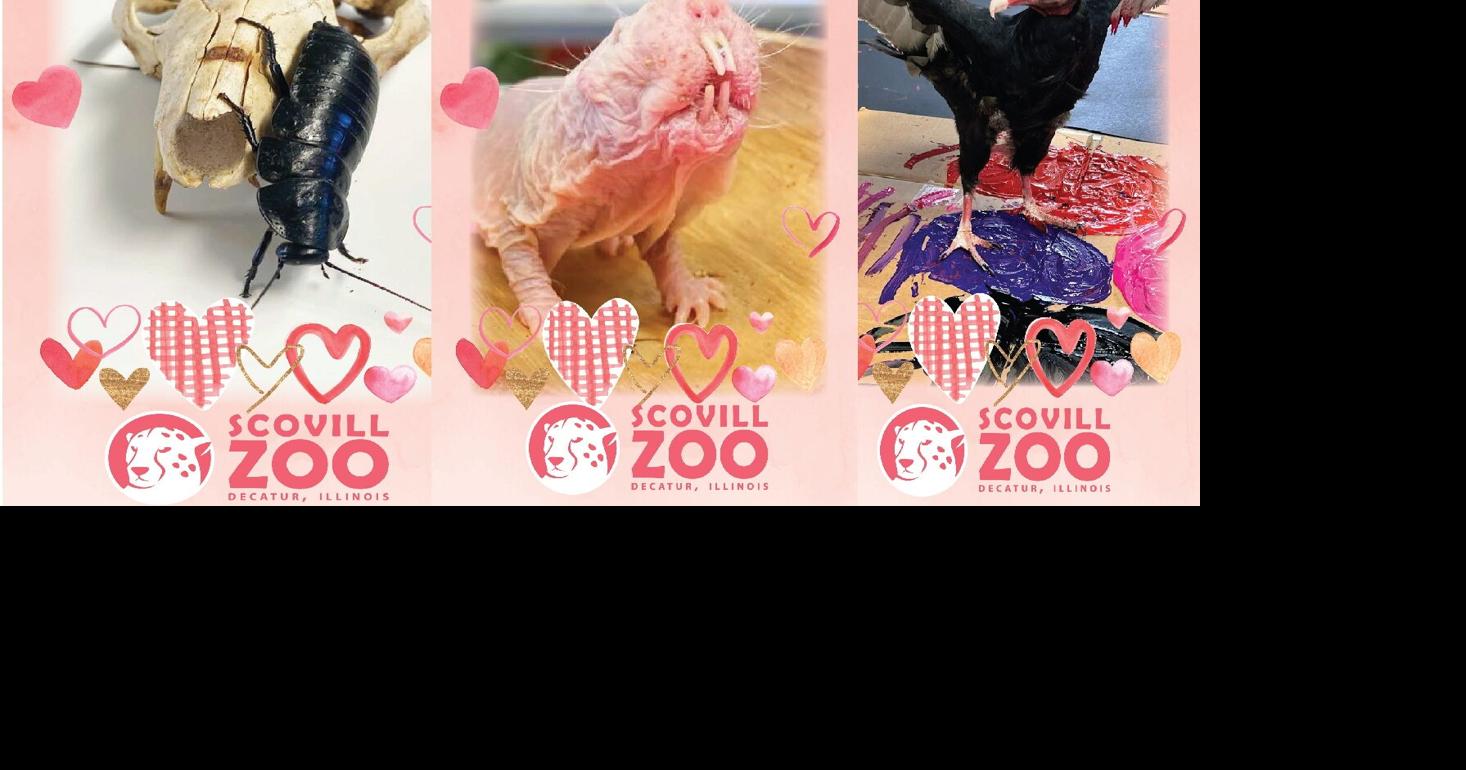 Name a cockroach, vulture, or naked mole-rat after someone for ...
