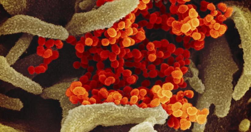 Omicron variant now in North America, Canadian officials say | News ...