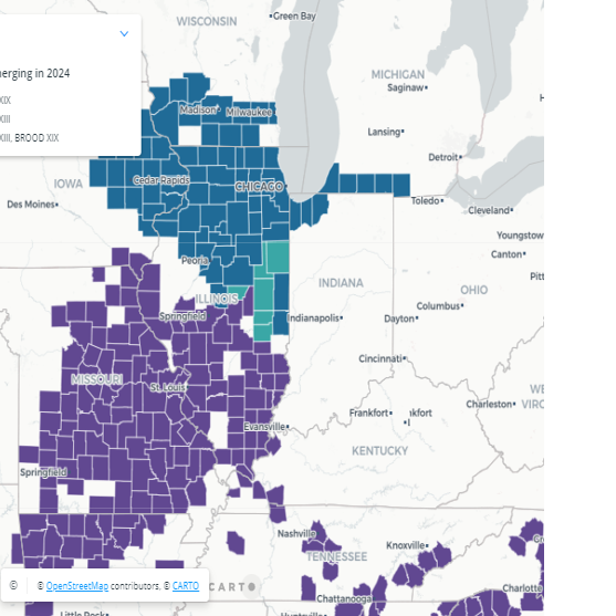Decatur's Inc. Spot honors local coach and leader in hall of fame | Top ...