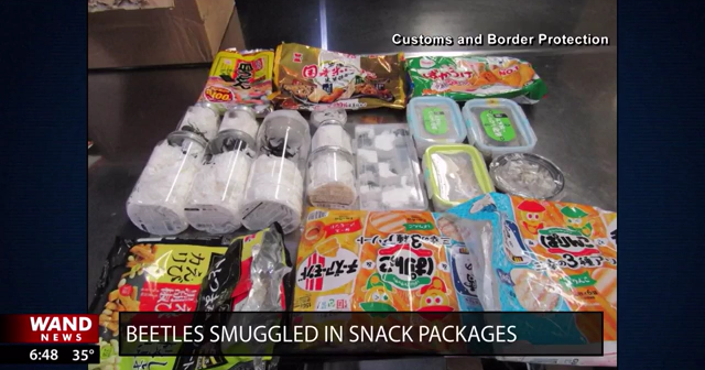 Beetles smuggled in snack packages | Videos | wandtv.com