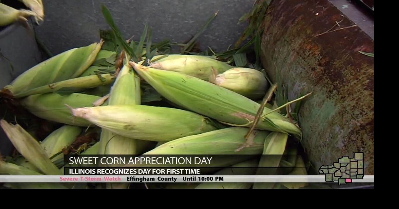 Sweet Corn Appreciation | | wandtv.com