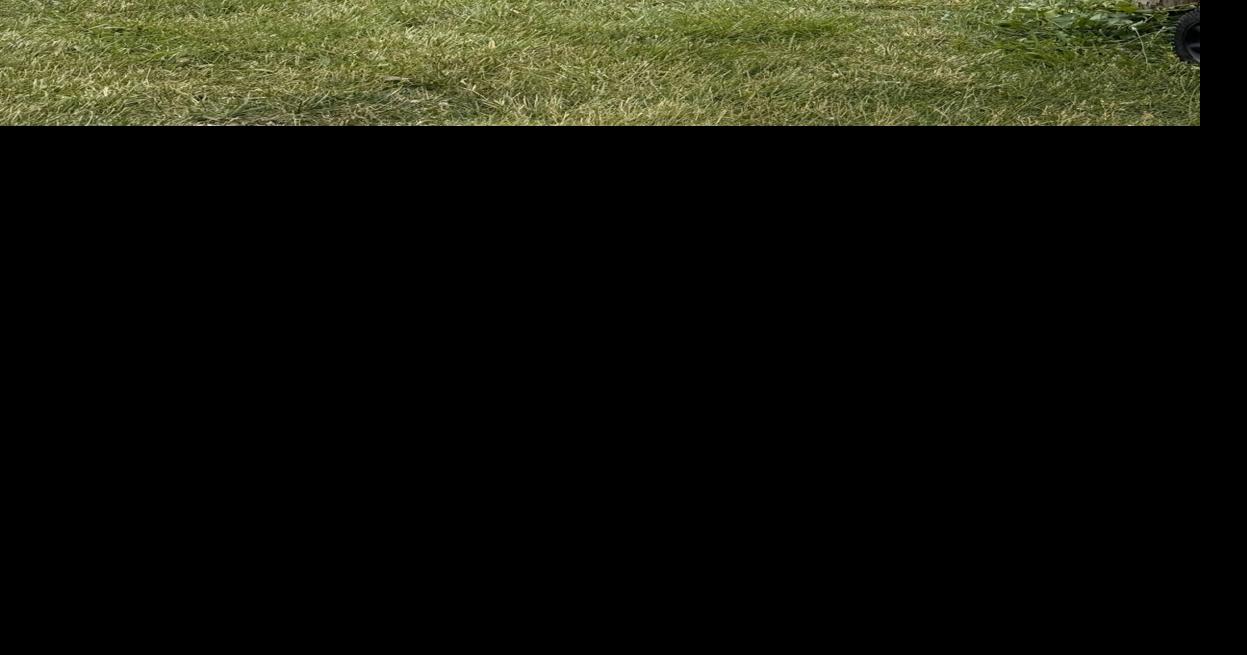 Floating wetlands deployed on Lake Decatur | Community | wandtv.com