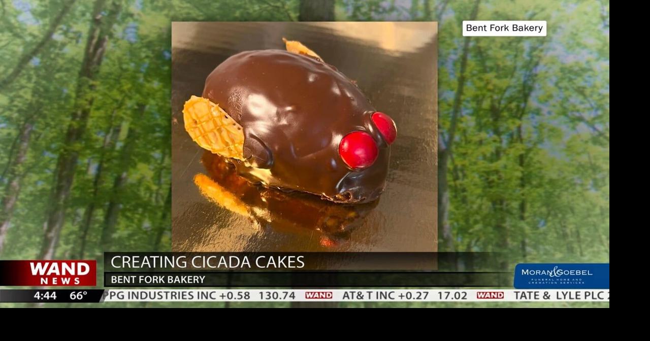 Suburban bakery revives its ‘cicada cakes' as double-brood invasion ...