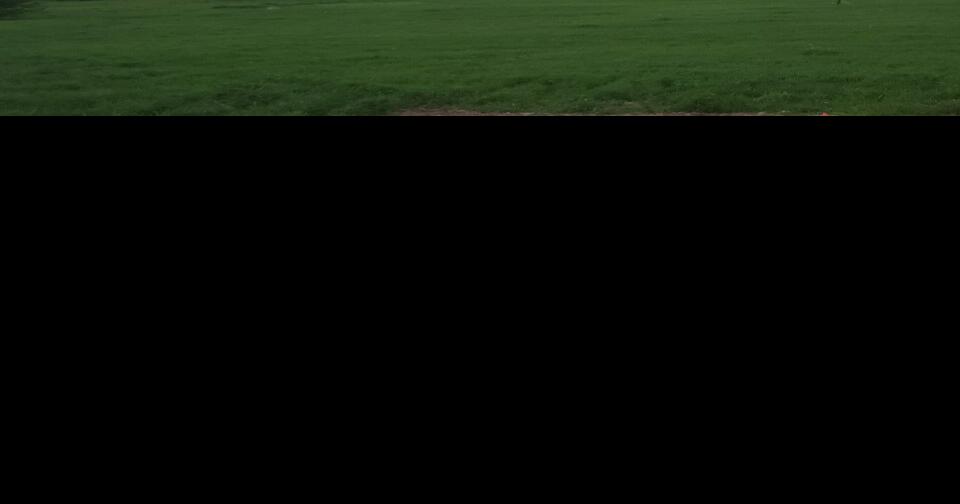 A few storms early in the week | Weather | waow.com