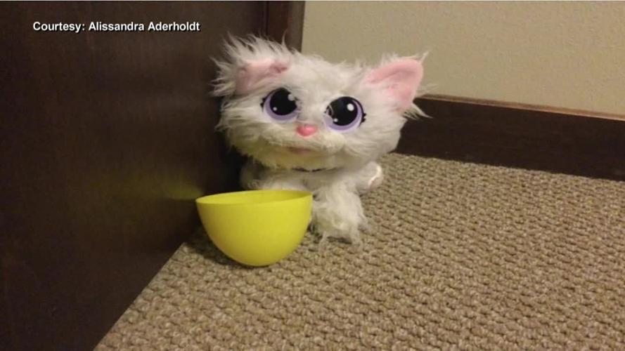 Today’s Teacher: Megan Derfus | Education | waow.com