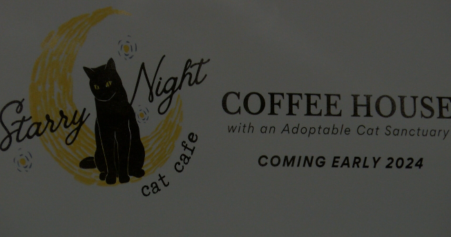 Cat Cafe coming to Portage County in 2024 | Top Stories | waow.com
