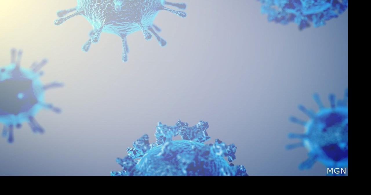 Bird poop may be the key to stopping the next flu pandemic. Here’s why ...