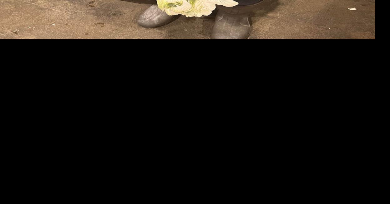 Eagle shot last week on road to recovery | Top Stories | waow.com