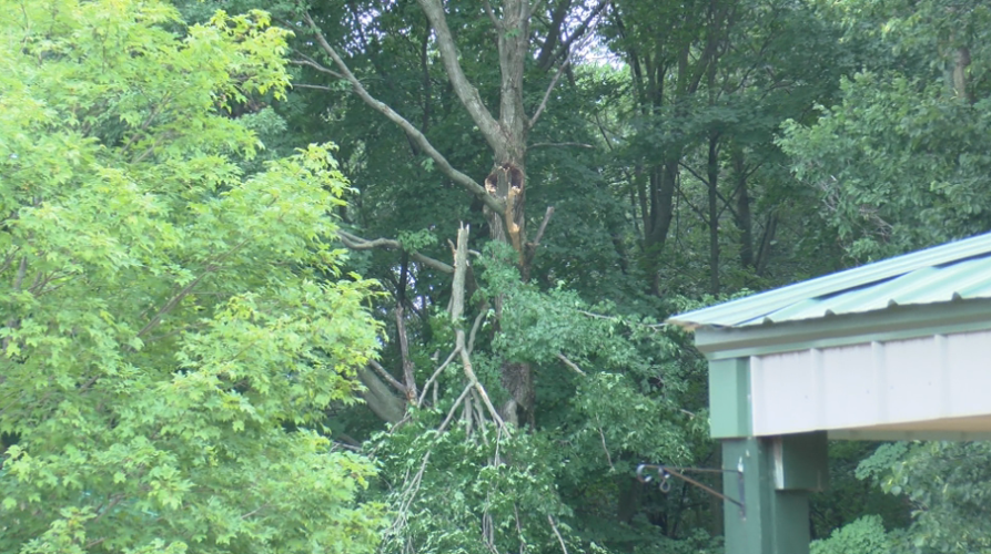 Raptor Education Group Inc. hit hard by the storms in the Northwoods ...